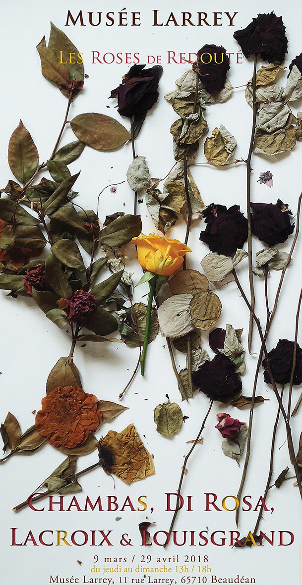 musée larey - Le Voyage aux Pyrénées